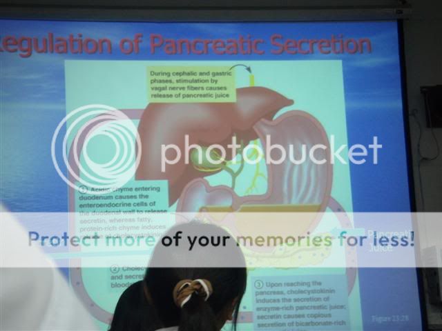 BlogGang.com : : vanderwaal : ++ Pathophysiology with A.Lily++