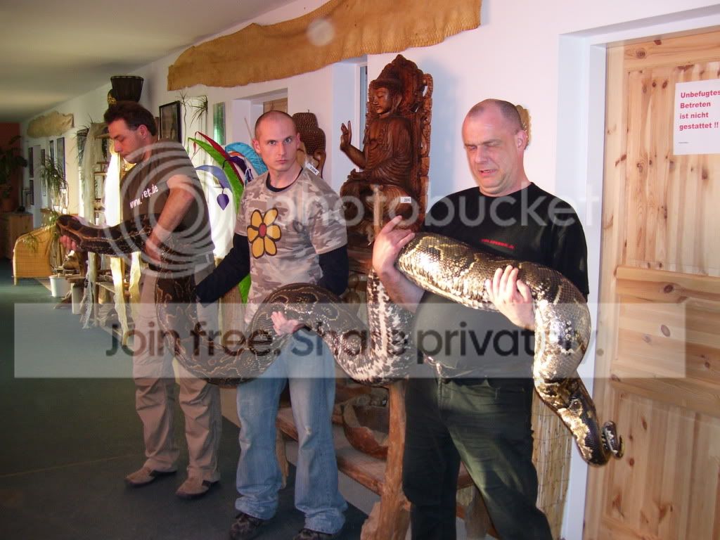 Python strangles 2 children | Doberman Forum : Doberman Breed Dog Forums