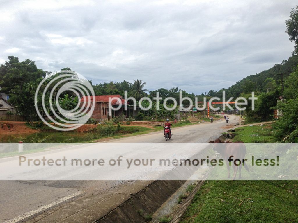 Vietnam 2013: Part 1 - Field Herp Forum